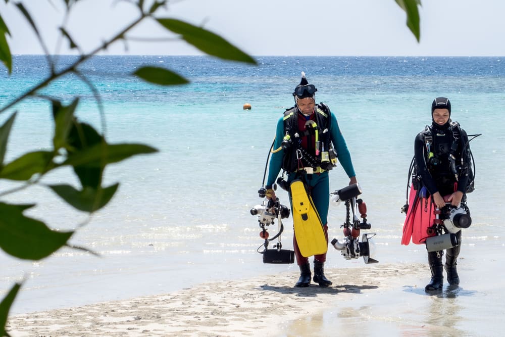 Red Sea Diving Safari Marsa Shagra - Reisecenter Federsee