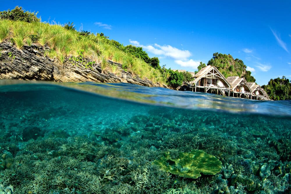 Misool Dive Center - Reisecenter Federsee