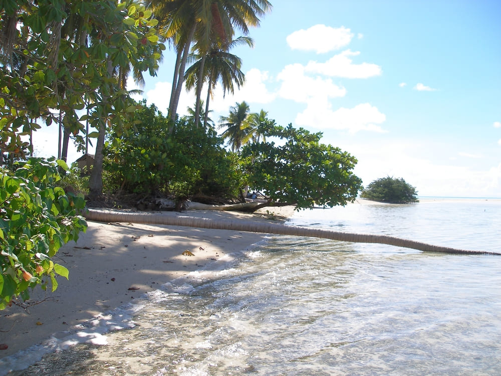 Nunukan Island Resort - Reisecenter Federsee