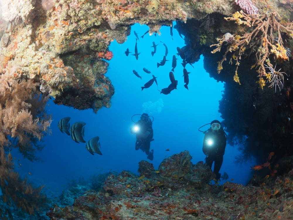 Dive Point Meedhupparu - Reisecenter Federsee